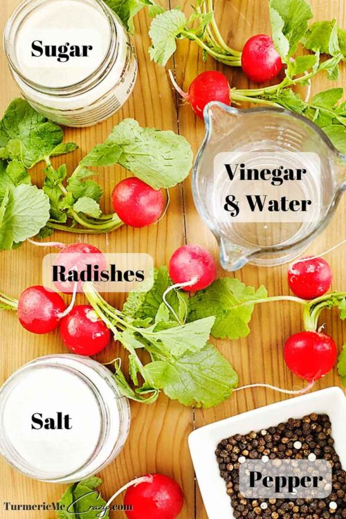How to make Perfectly Pickled Radishes in 10 mins flat! - TurmericMeCrazy