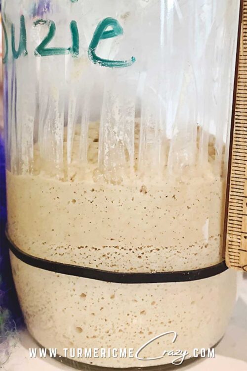TOP 3 Secrets to SUCCESSFULLY make a Sourdough Starter from scratch ...