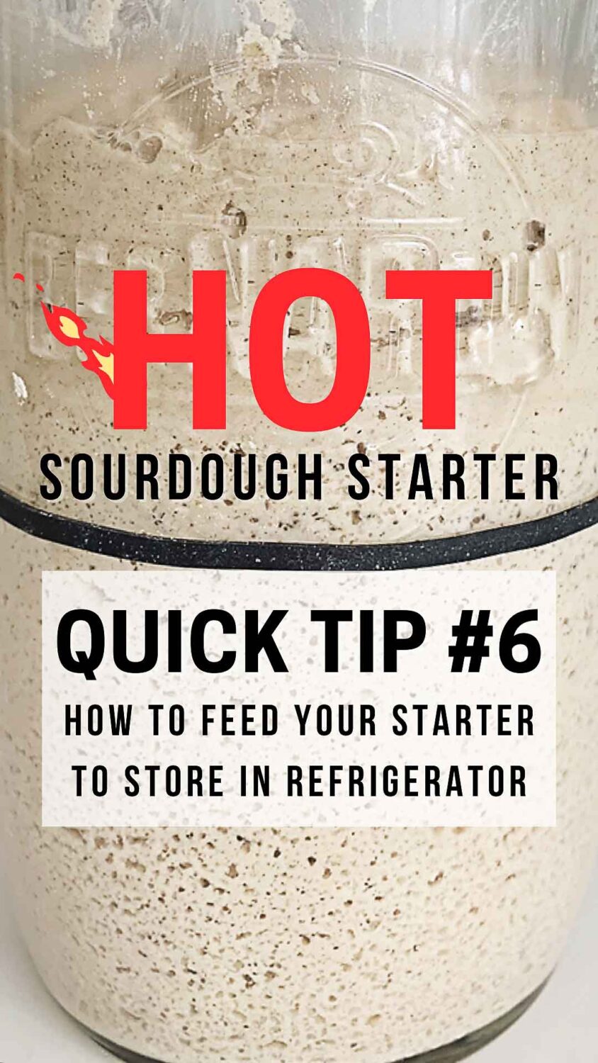 Quick Sourdough Starter Tips and Tricks - TurmericMeCrazy